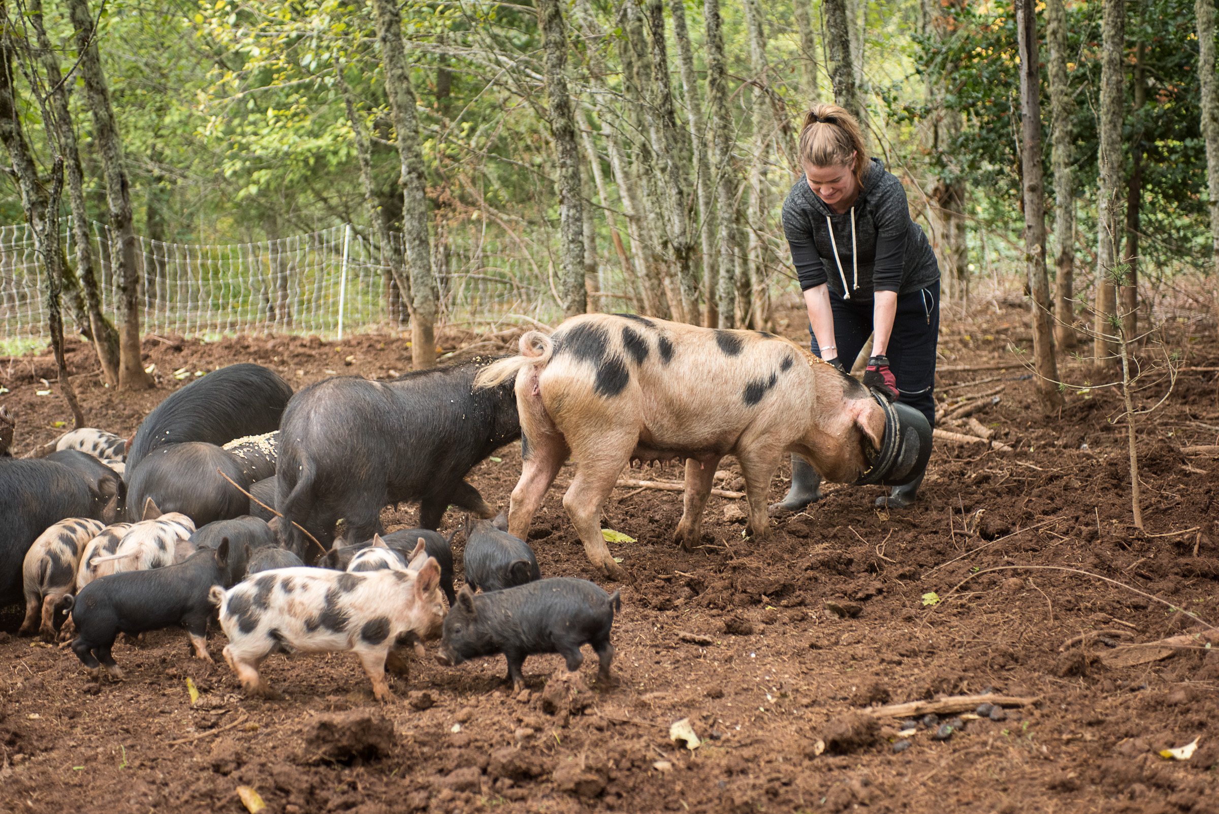 Finding Land Overview - FIC