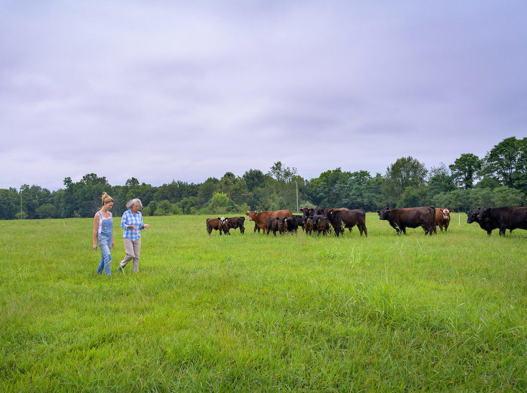 Farmers and Beginning Farmers - FIC