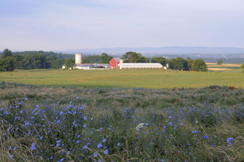 On-Farm Conservation Policies and Programs - FIC