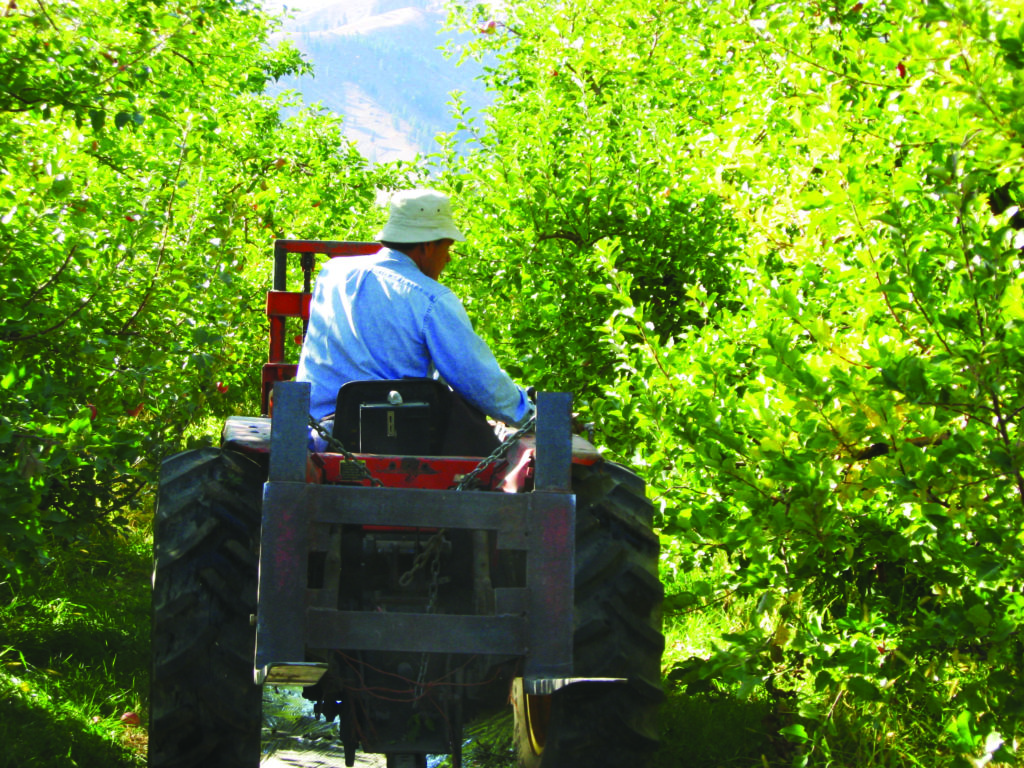 Land Assessment Overview - FIC