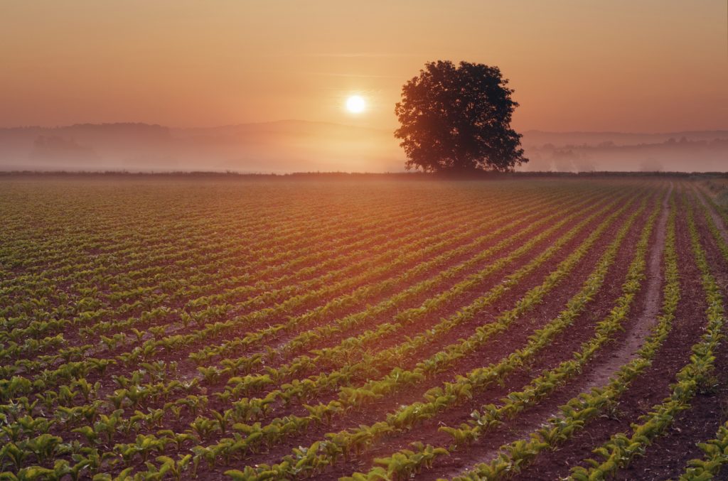 Protect Farm and Ranch Land - FIC