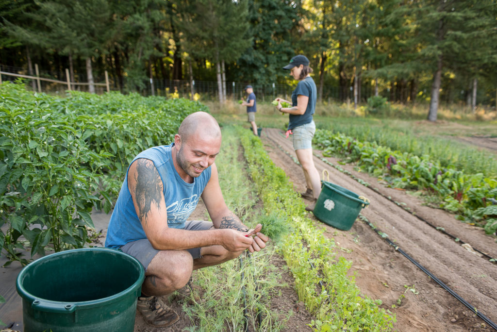 Farmland for the Next Generation - Land Access Training Manual - FIC