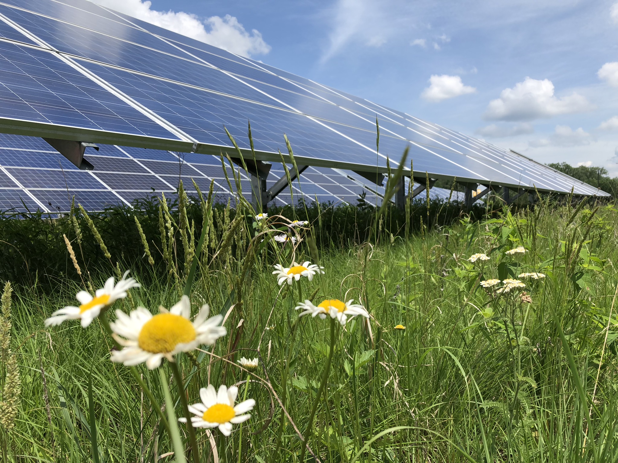 Smart Solar Siting on Farmland: Achieving Climate Goals While ...