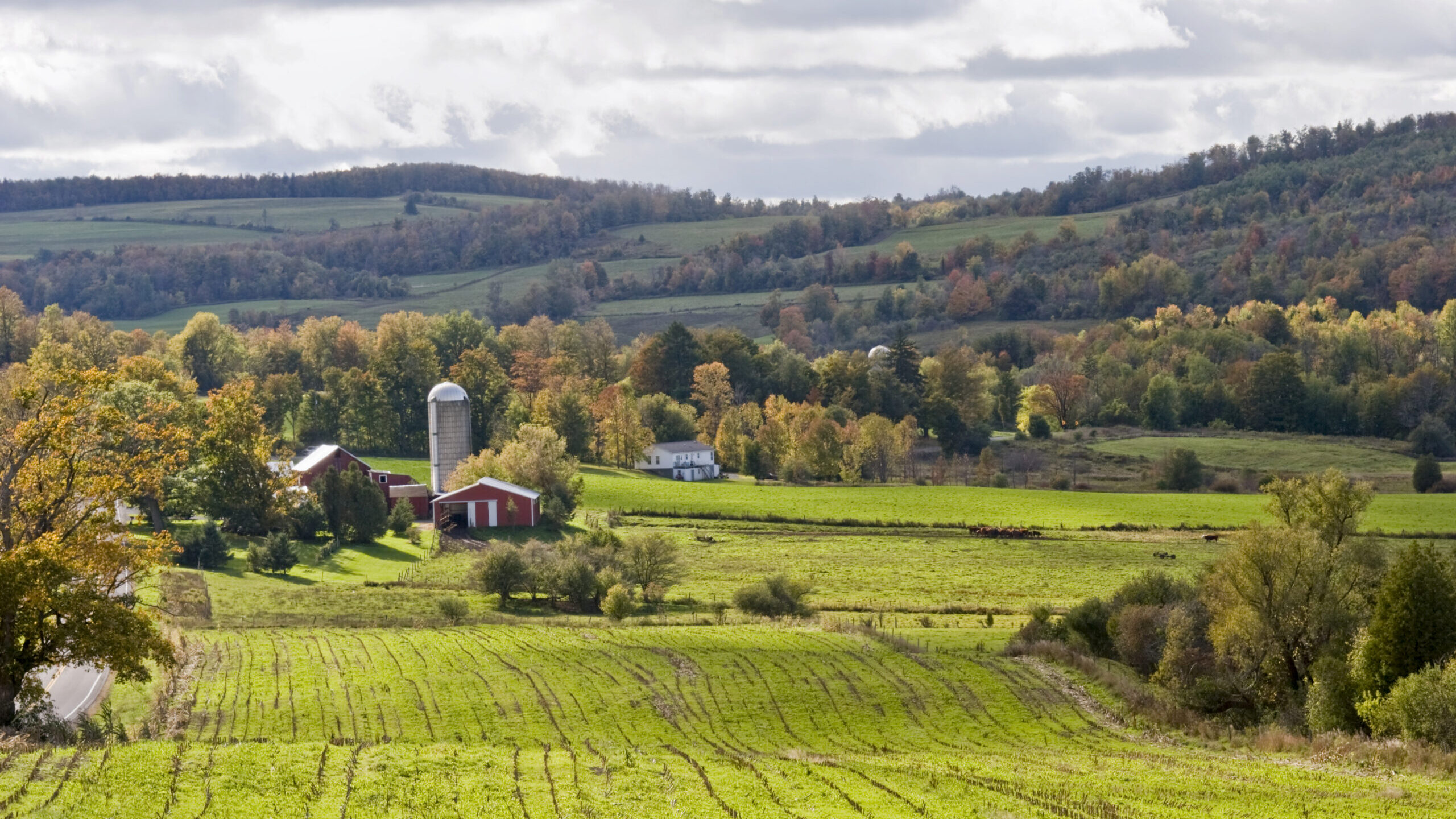 Land Access Policies and Programs - FIC