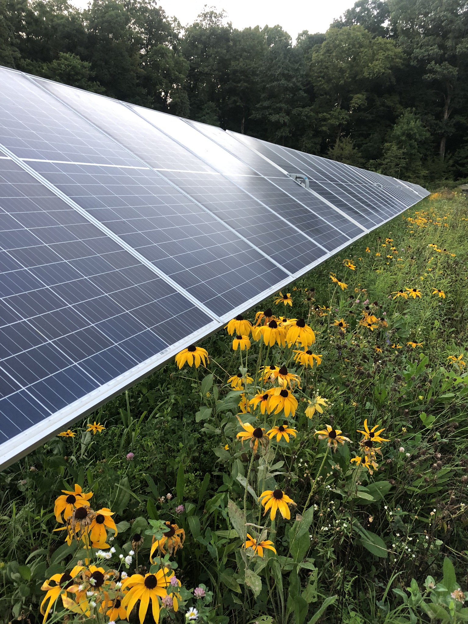 Indiana Solar Siting Overview - FIC