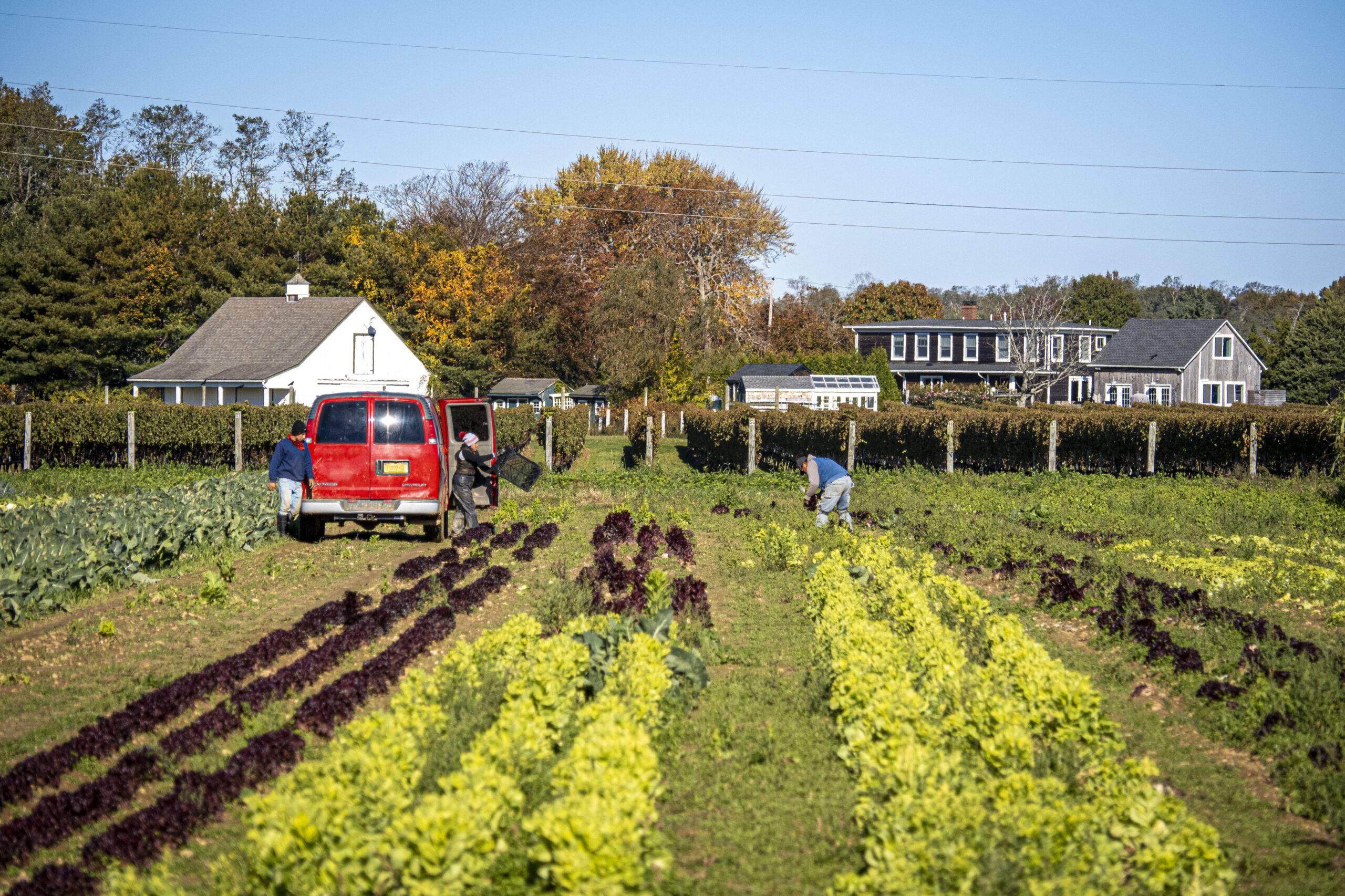 Farm Viability Policies and Programs - FIC