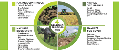 Soil Health Toolkit - FIC