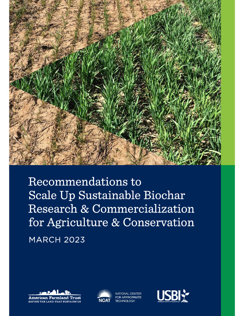 Recommendations to Scale Up Sustainable Biochar Research and ...