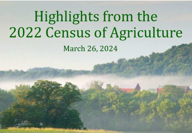 Highlights from the 2022 USDA Census of Agriculture - FIC